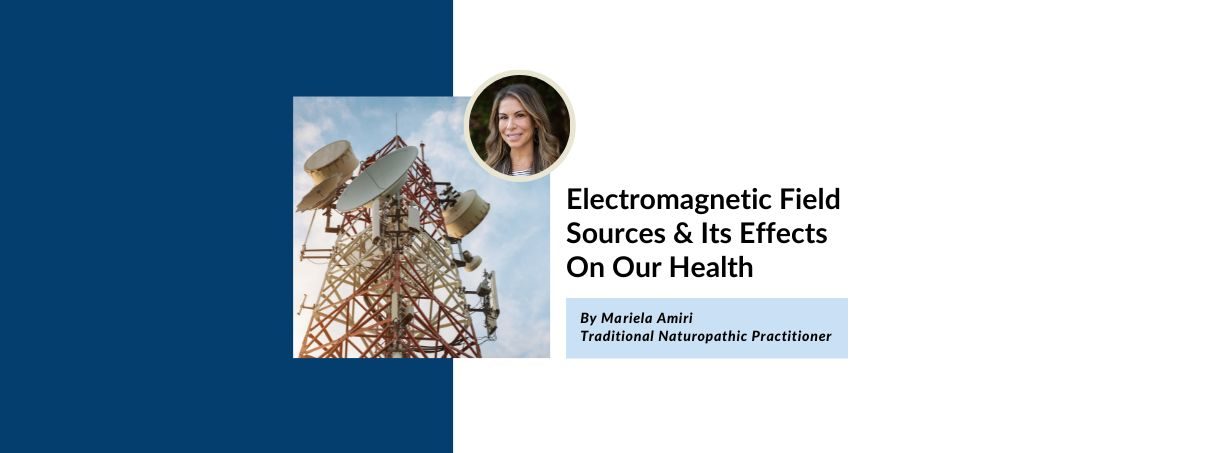 Electromagnetic Field Sources & Its Effects On Our Health - Longevity ...